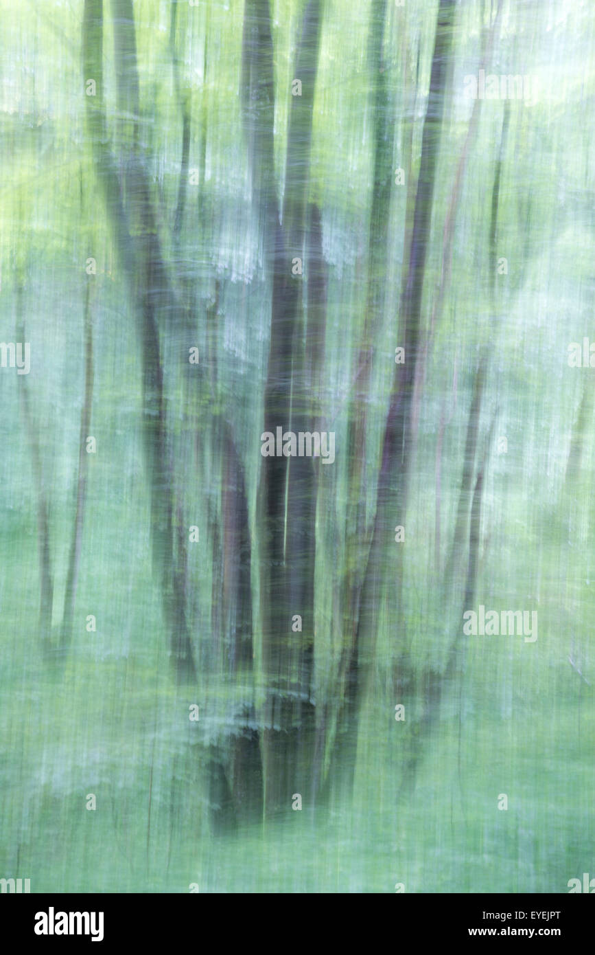 Pale colours in a landscape hi-res stock photography and images - Alamy