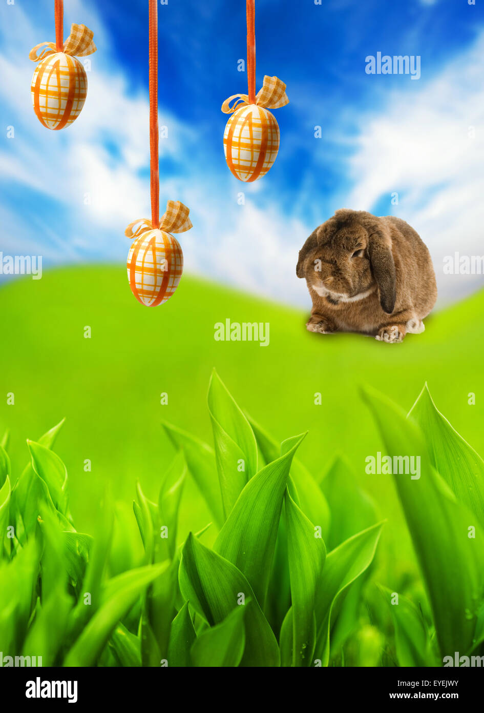 Easter eggs rabbit Stock Photo - Alamy