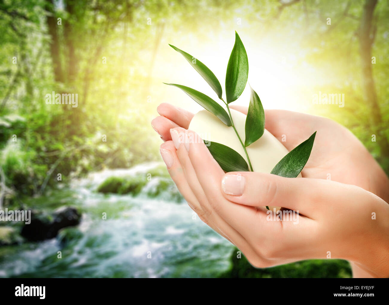 Human hands holding organic soap Stock Photo - Alamy