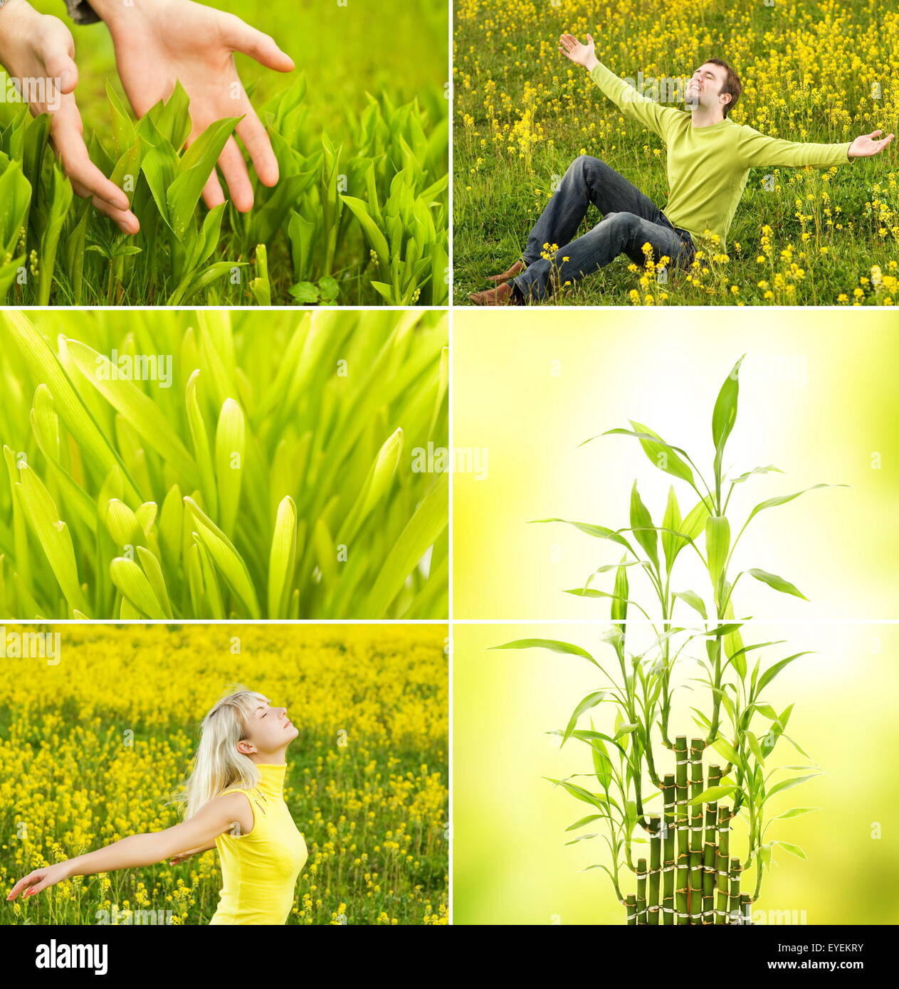 Spring collage hi-res stock photography and images - Alamy