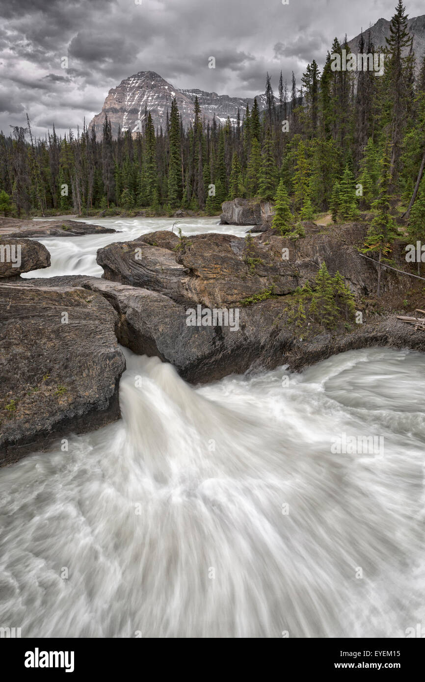 Natural bridge yoho national park hi-res stock photography and images ...