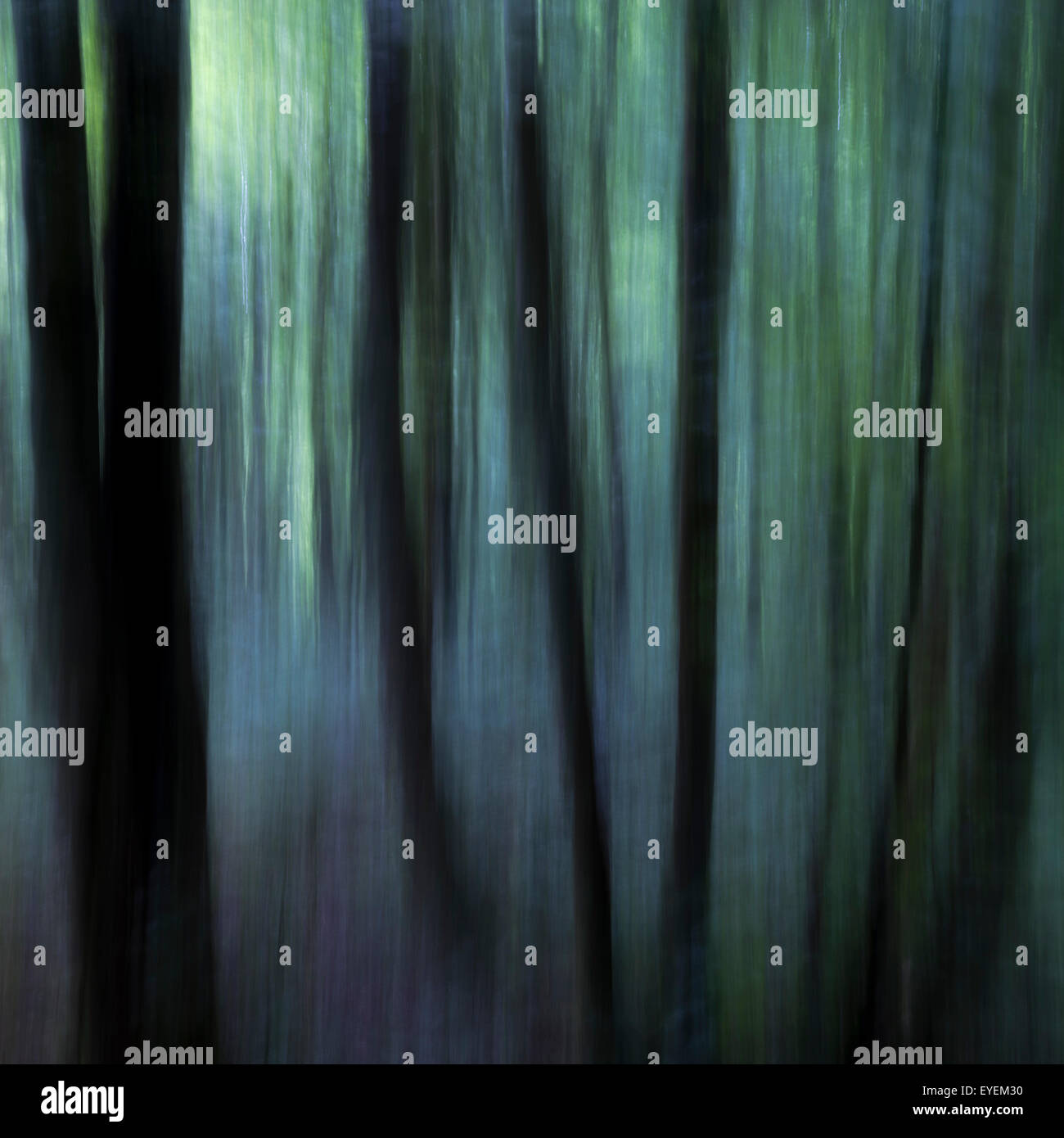 Abstract woodland hi-res stock photography and images - Alamy