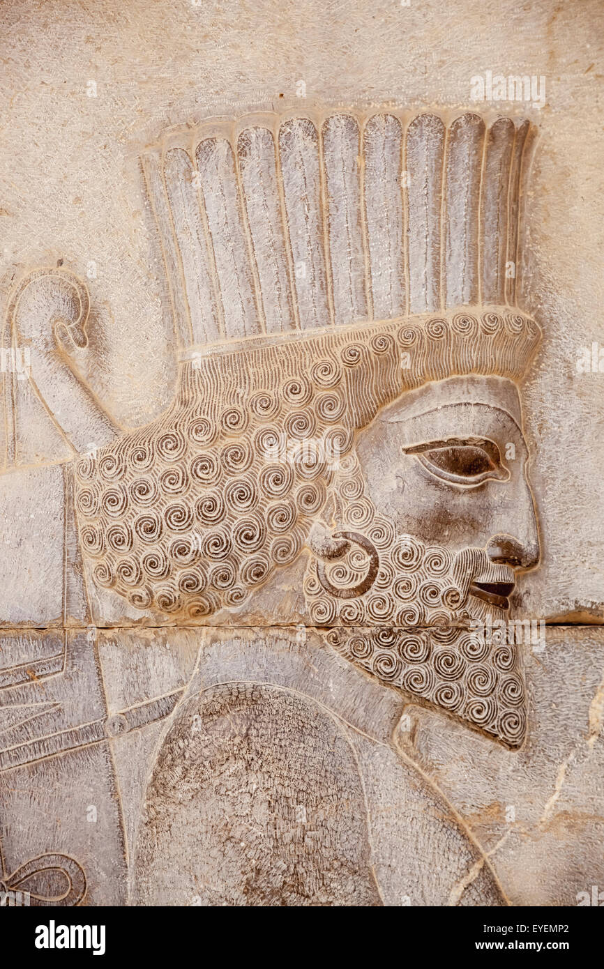 Bas relief of Persian guard, Gateway into Hall of 100 Columns ...