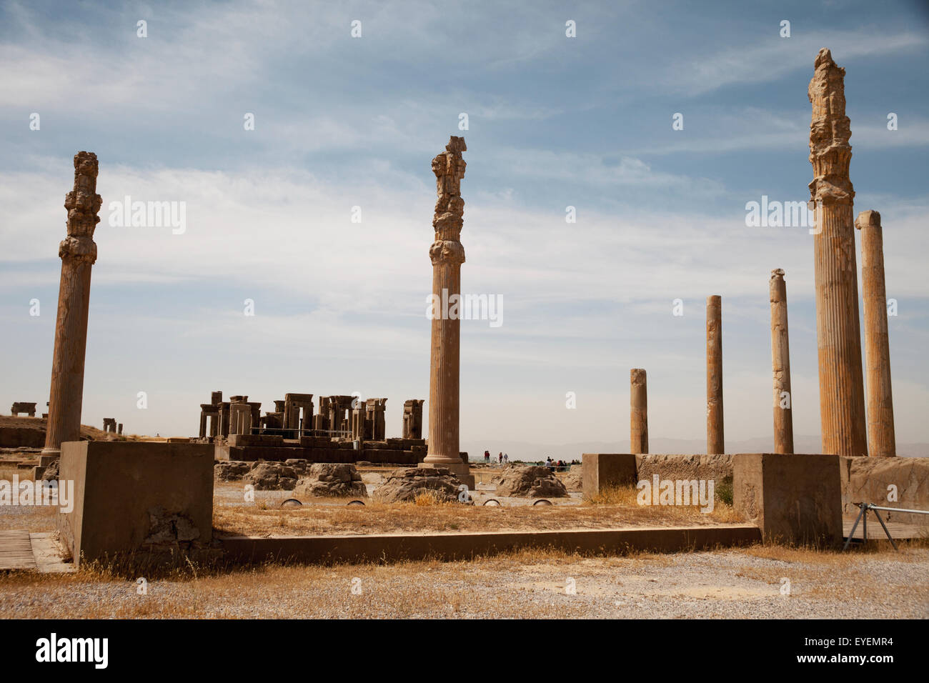 Columns of the Apadana Hall, and Winter Palace of Darius in background ...