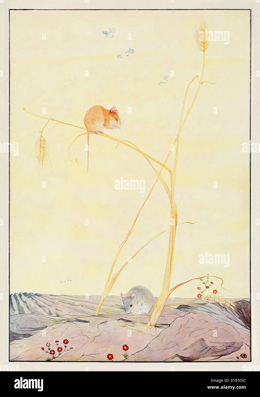 Edward julius detmold hi-res stock photography and images - Alamy