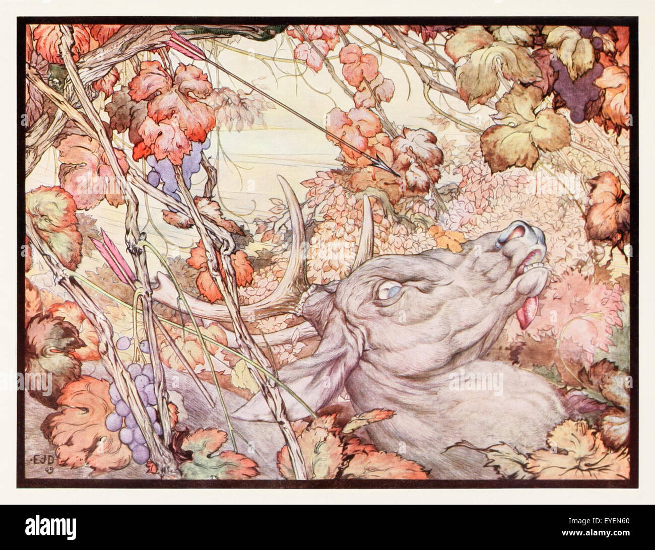 'The Hart (Stag) and the Vine' fable by Aesop (circa 600BC). A stag ...