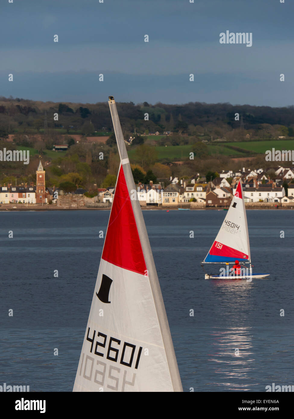 Exe estuary sailing; Lympstone, Devon, England Stock Photo - Alamy