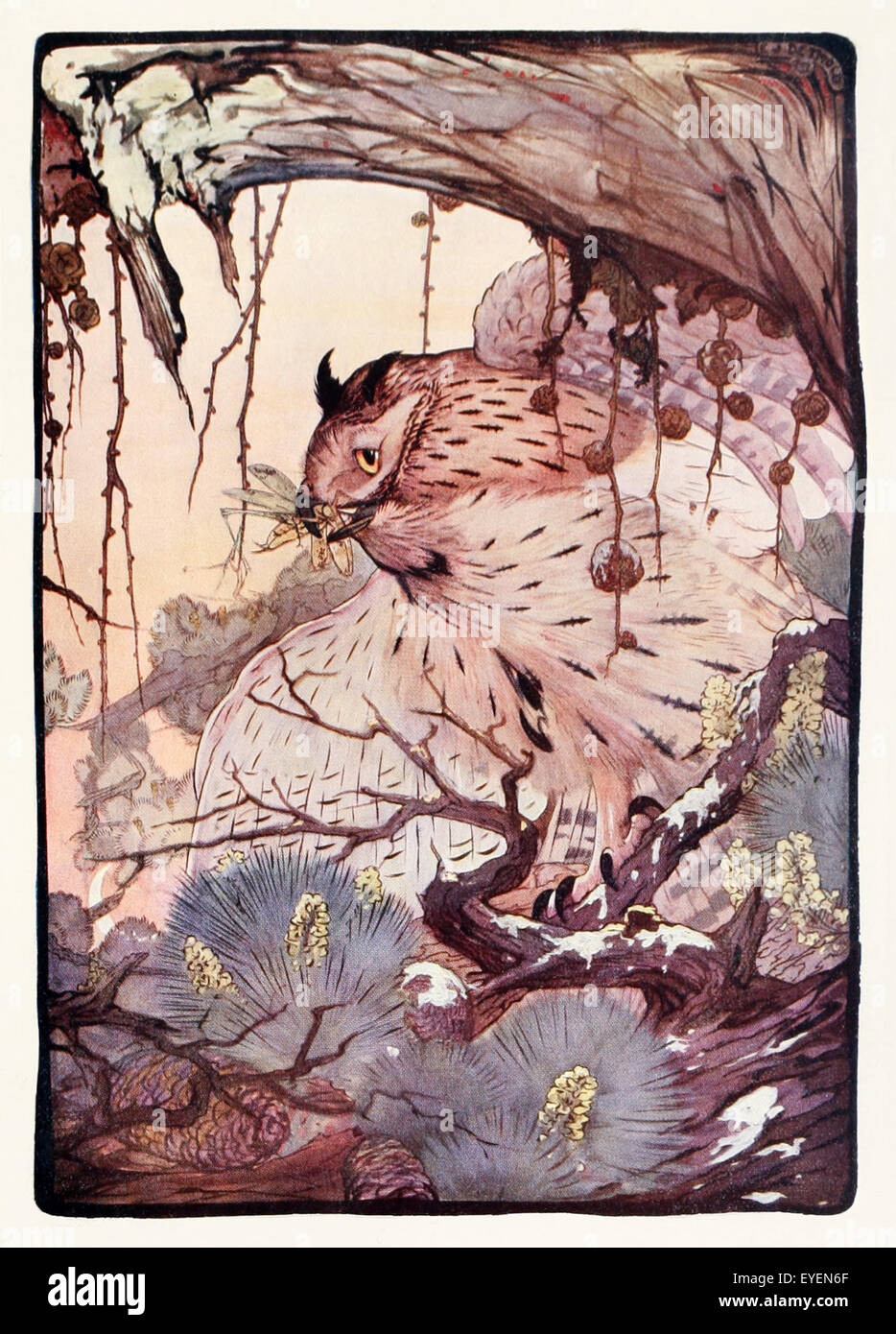 'The Grasshopper and the Owl' fable by Aesop (circa 600BC). An ...