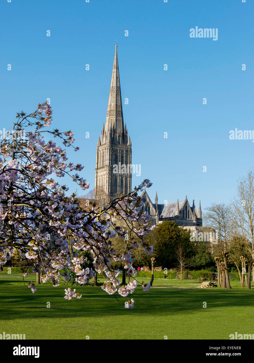 Salisbury cathedral in the spring hi-res stock photography and images ...