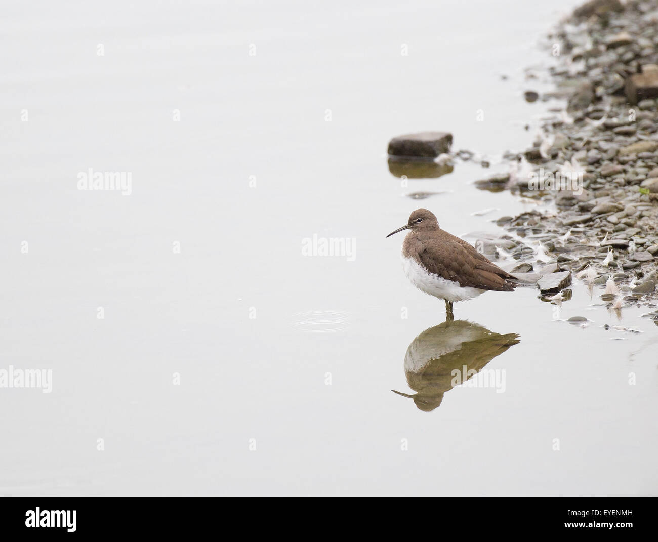 Welsh water hi-res stock photography and images - Alamy