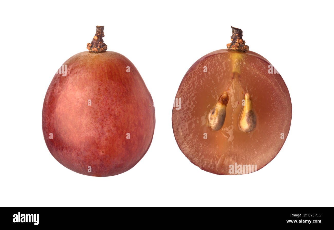 Single and halved red globe grape isolated on white background Stock ...