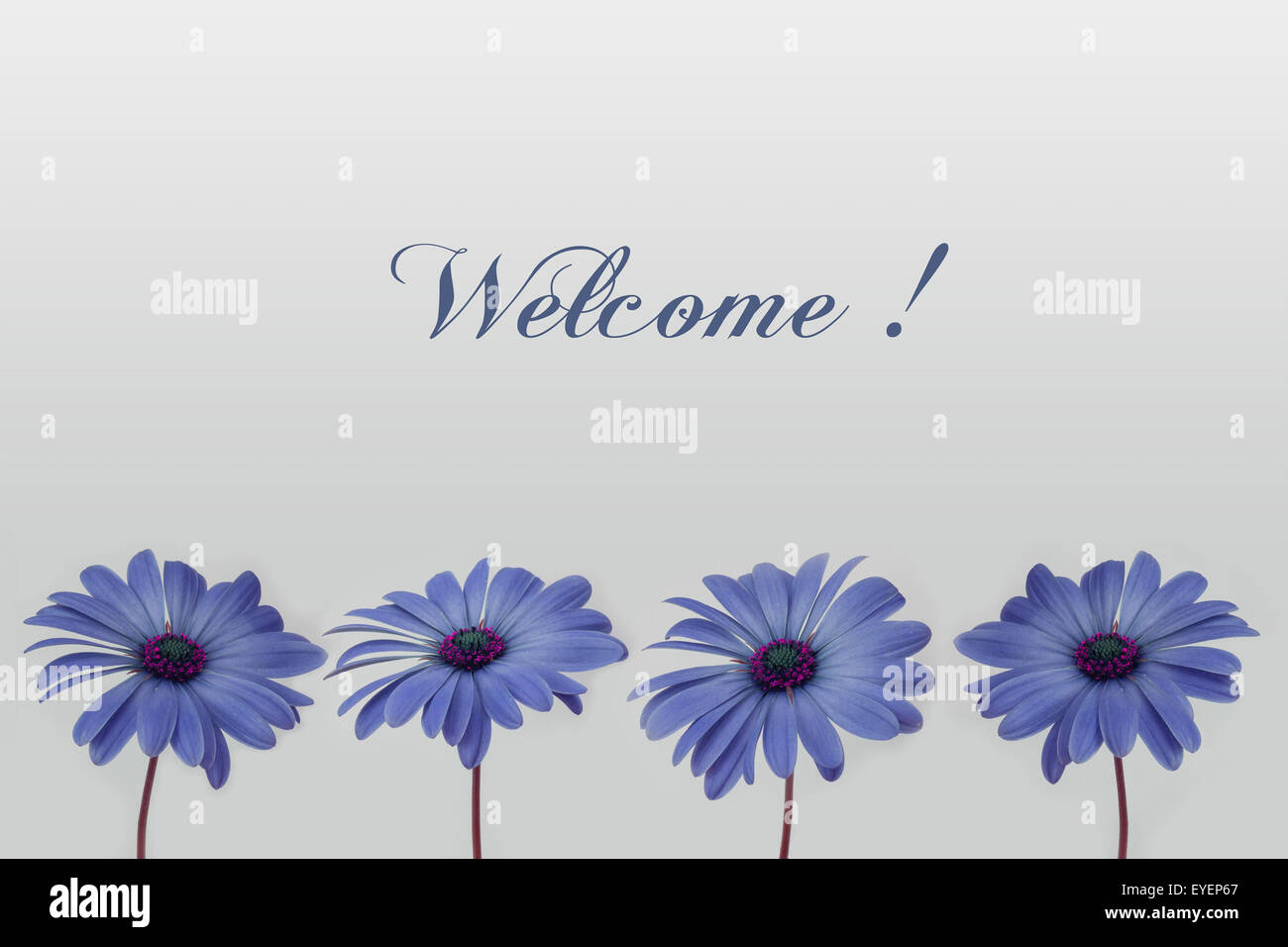 Welcome Images With Flowers