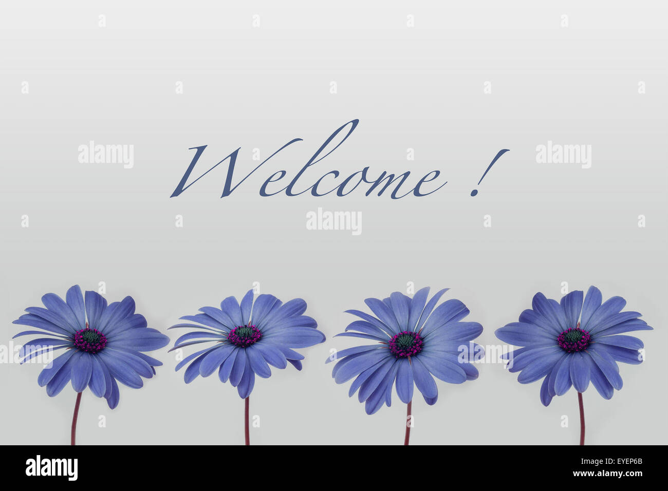 Welcome flower hi-res stock photography and images - Alamy