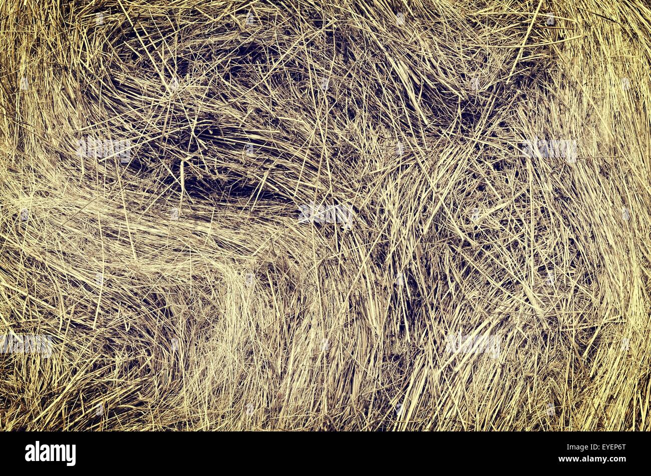 Straw texture hi-res stock photography and images - Alamy