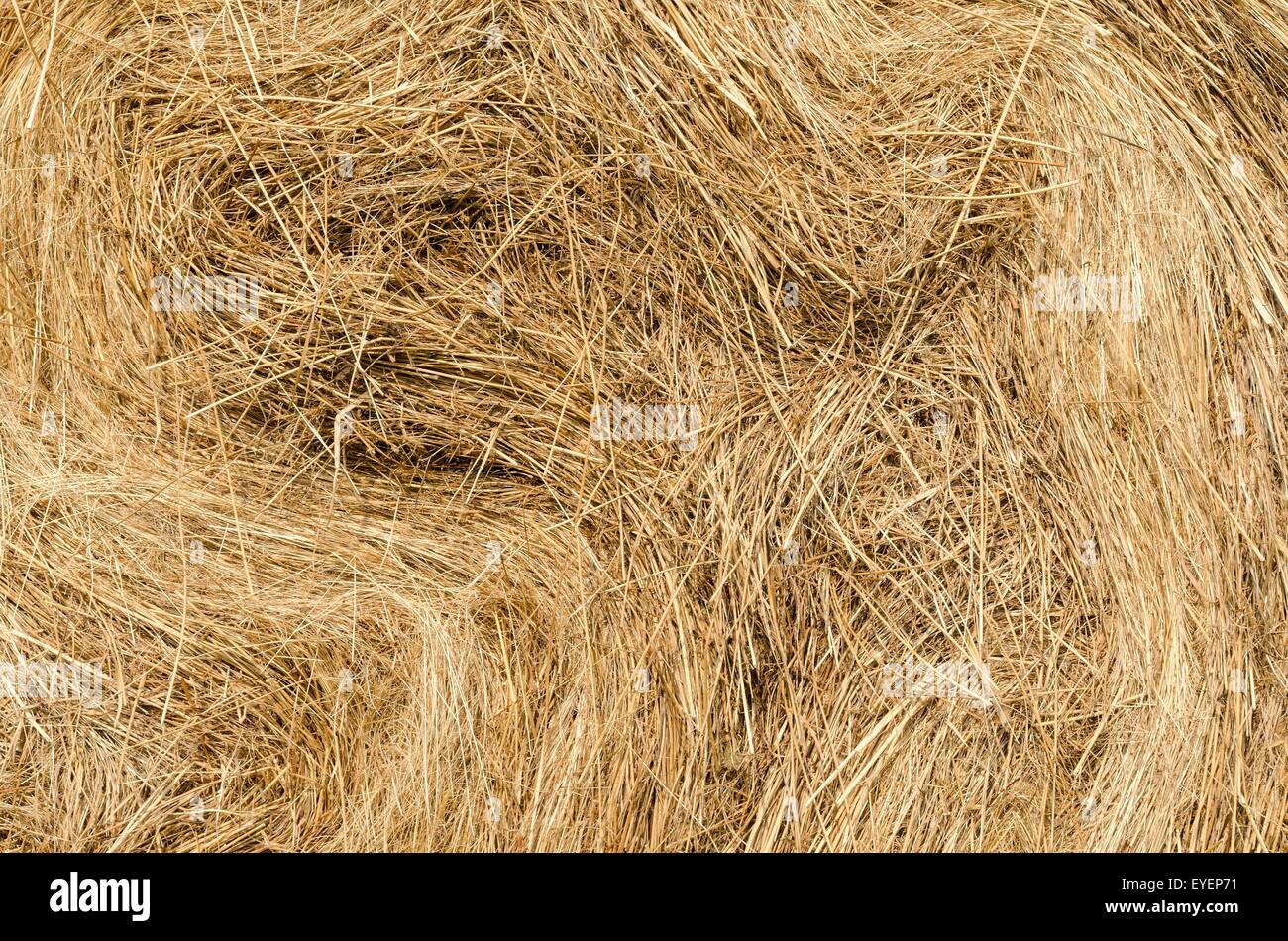 Straw texture hi-res stock photography and images - Alamy