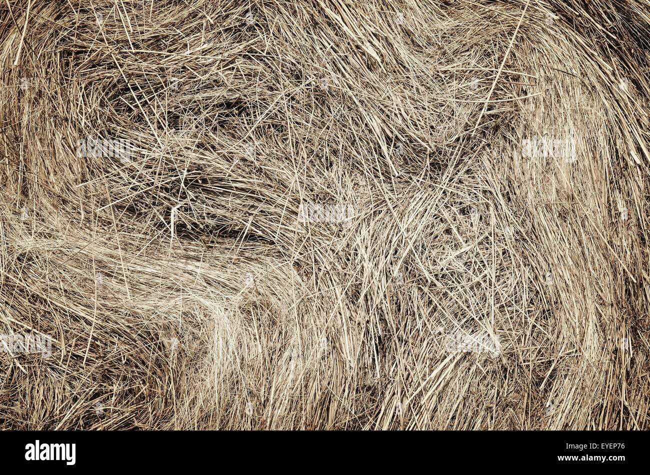 Straw bale texture hi-res stock photography and images - Alamy