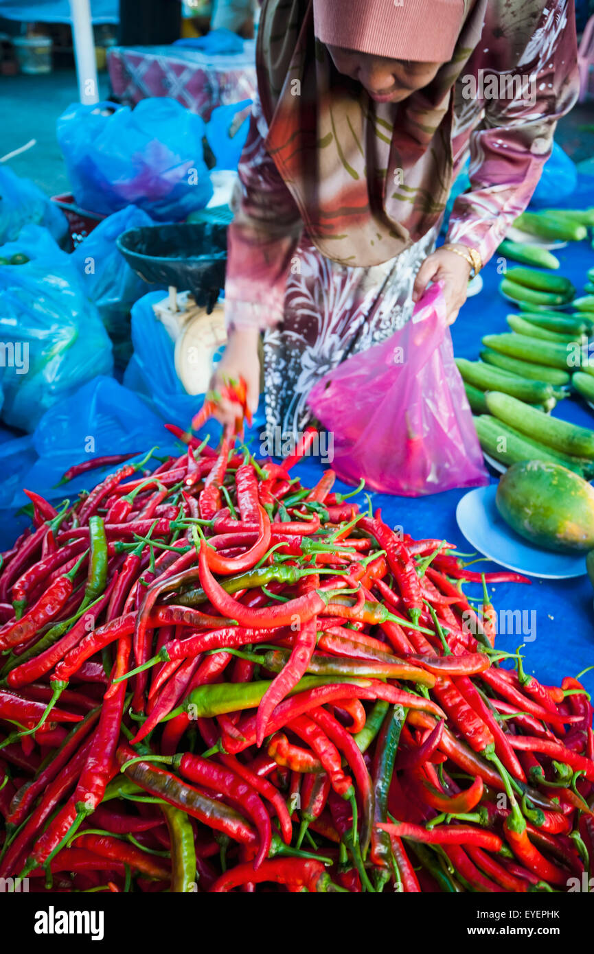 Chillies in the local market; Bandar Seri Begawan, Brunei Stock Photo ...
