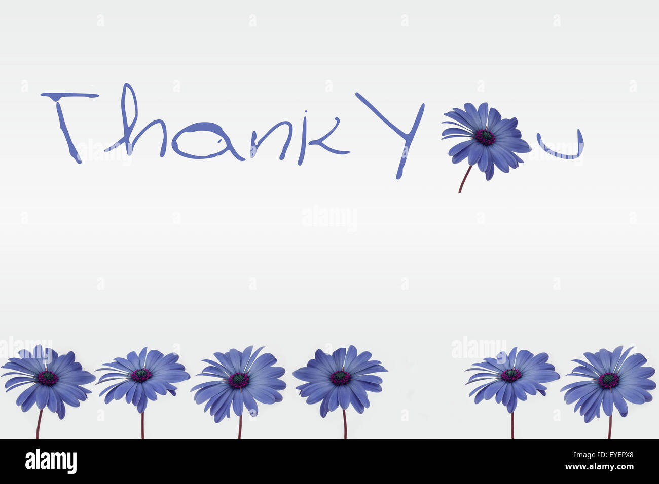 Thank You Images With Blue Flowers