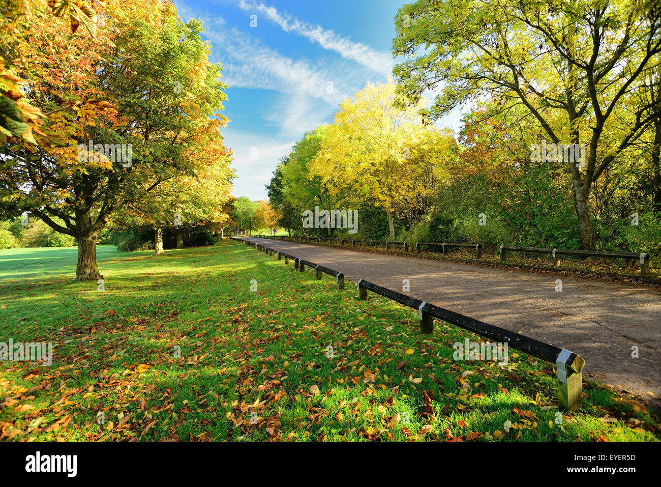 At lydiard park in swindon hi-res stock photography and images - Alamy