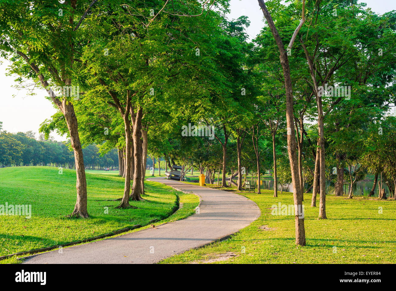 Paved path curving through the park. Peaceful pathway curves through a ...
