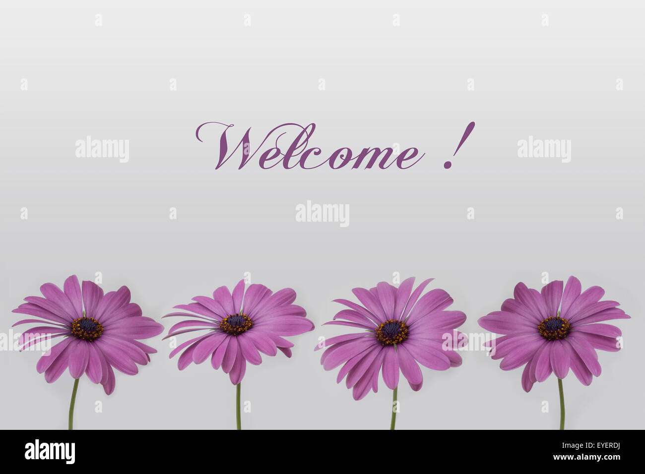 Welcome flowers hi-res stock photography and images - Alamy