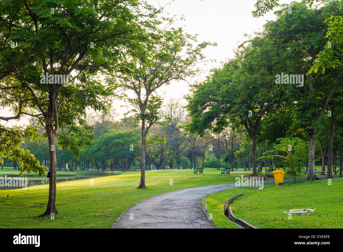 Paved path curving through the park. Peaceful pathway curves through a ...