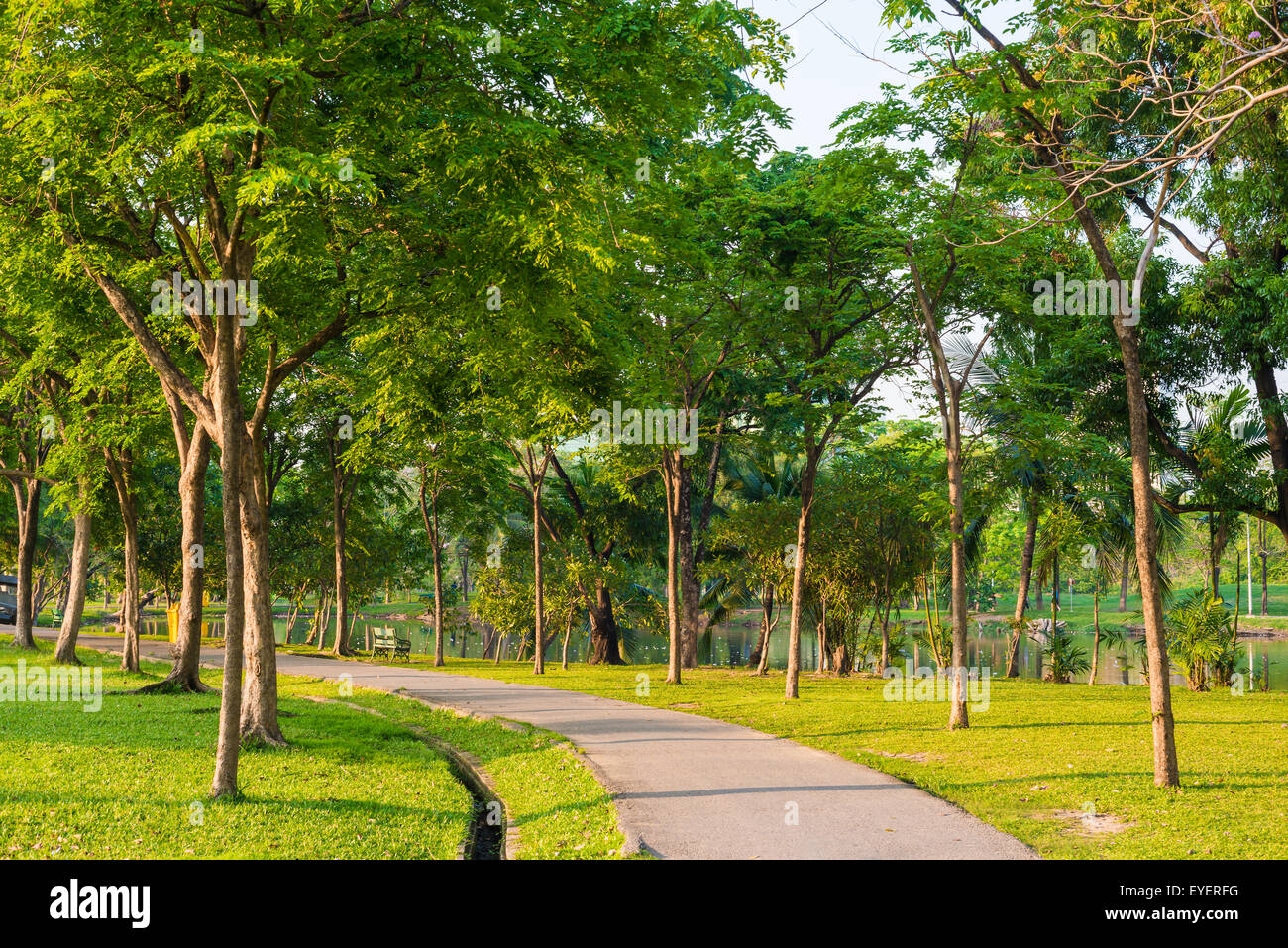 Paved path curving through the park. Peaceful pathway curves through a ...