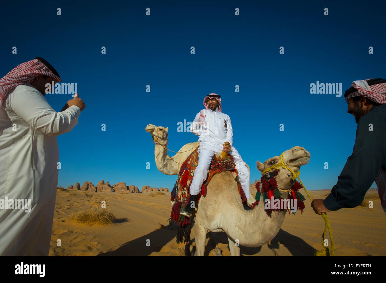 Saudi arabia desert camel hi-res stock photography and images - Alamy