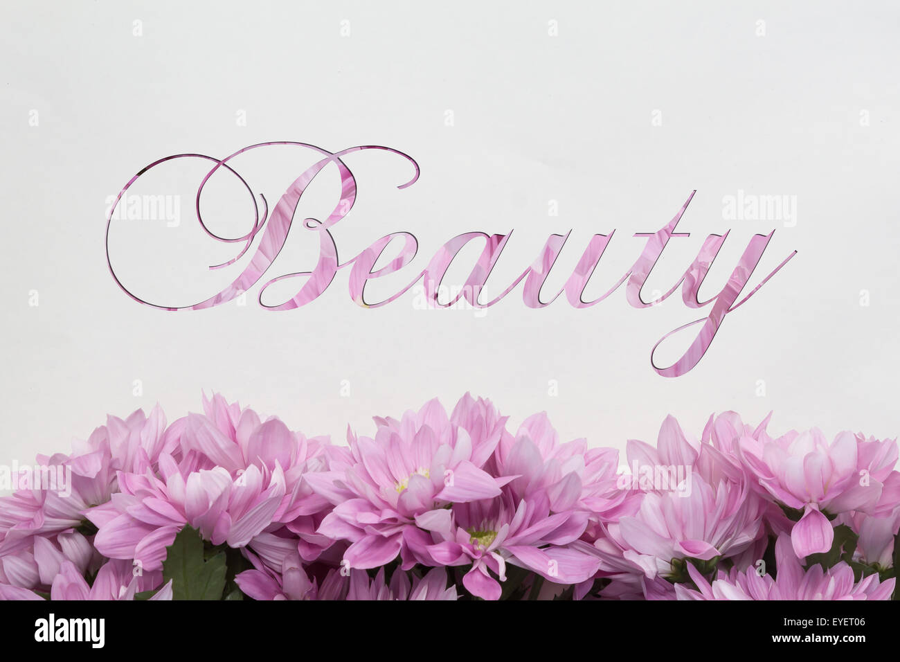 beauty concept - text and flower card with the word "BEAUTY Stock Photo ...