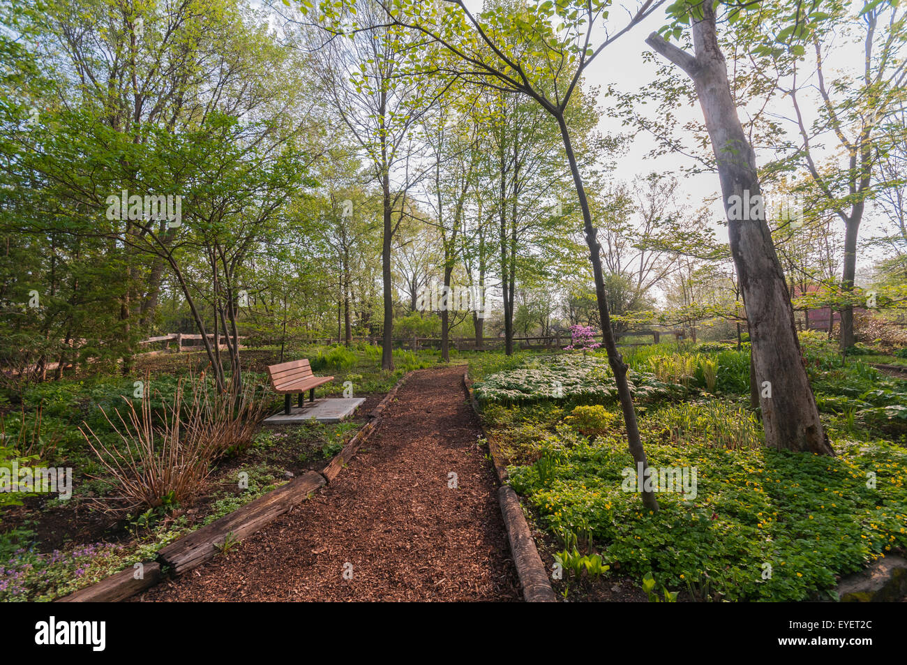 Garden tree path spring hi-res stock photography and images - Alamy