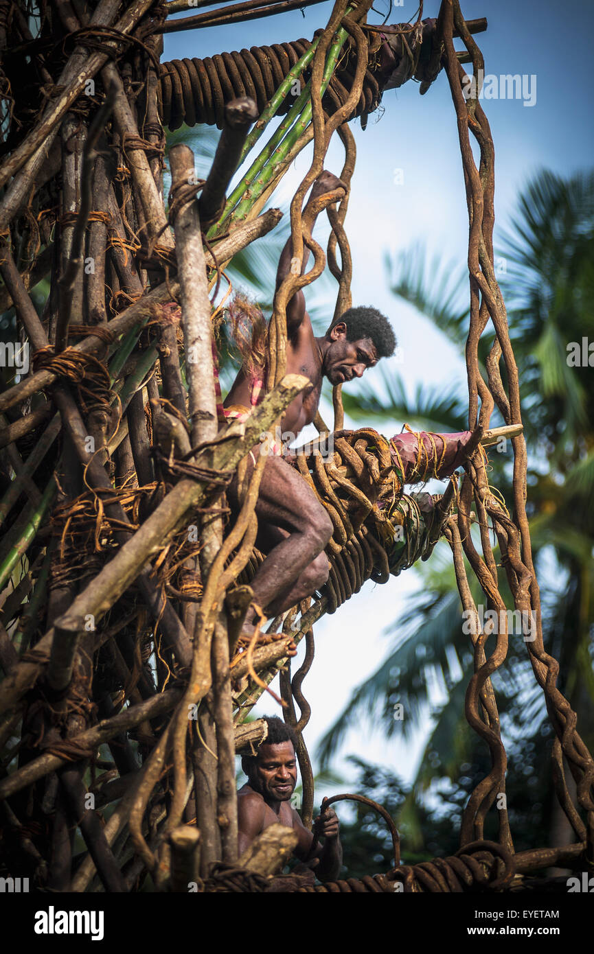 Land diver works to secure the diving platforms on the Pentecost Land ...