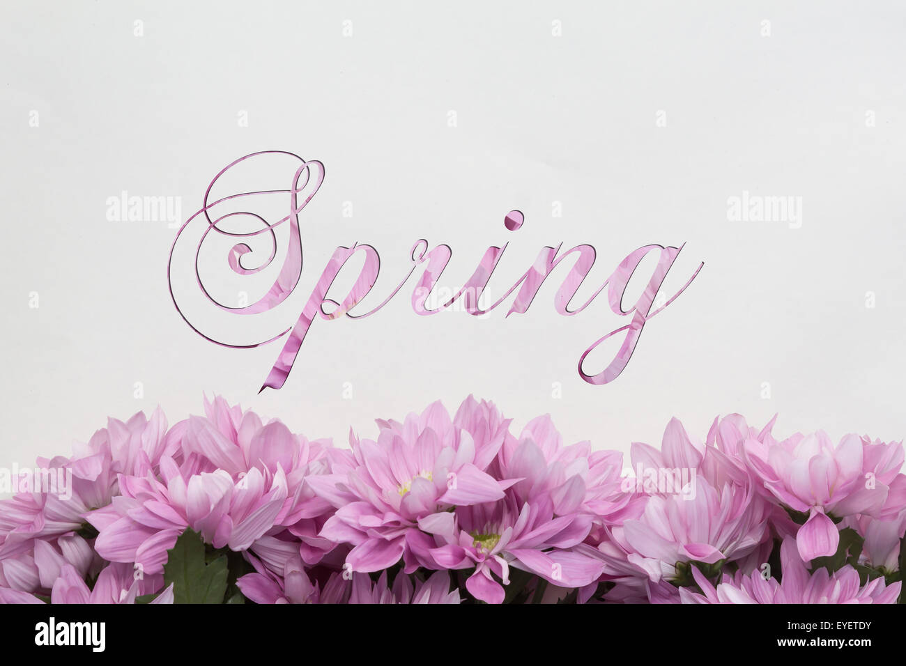 Spring flowers - handwritten text and flower decoration Stock Photo - Alamy