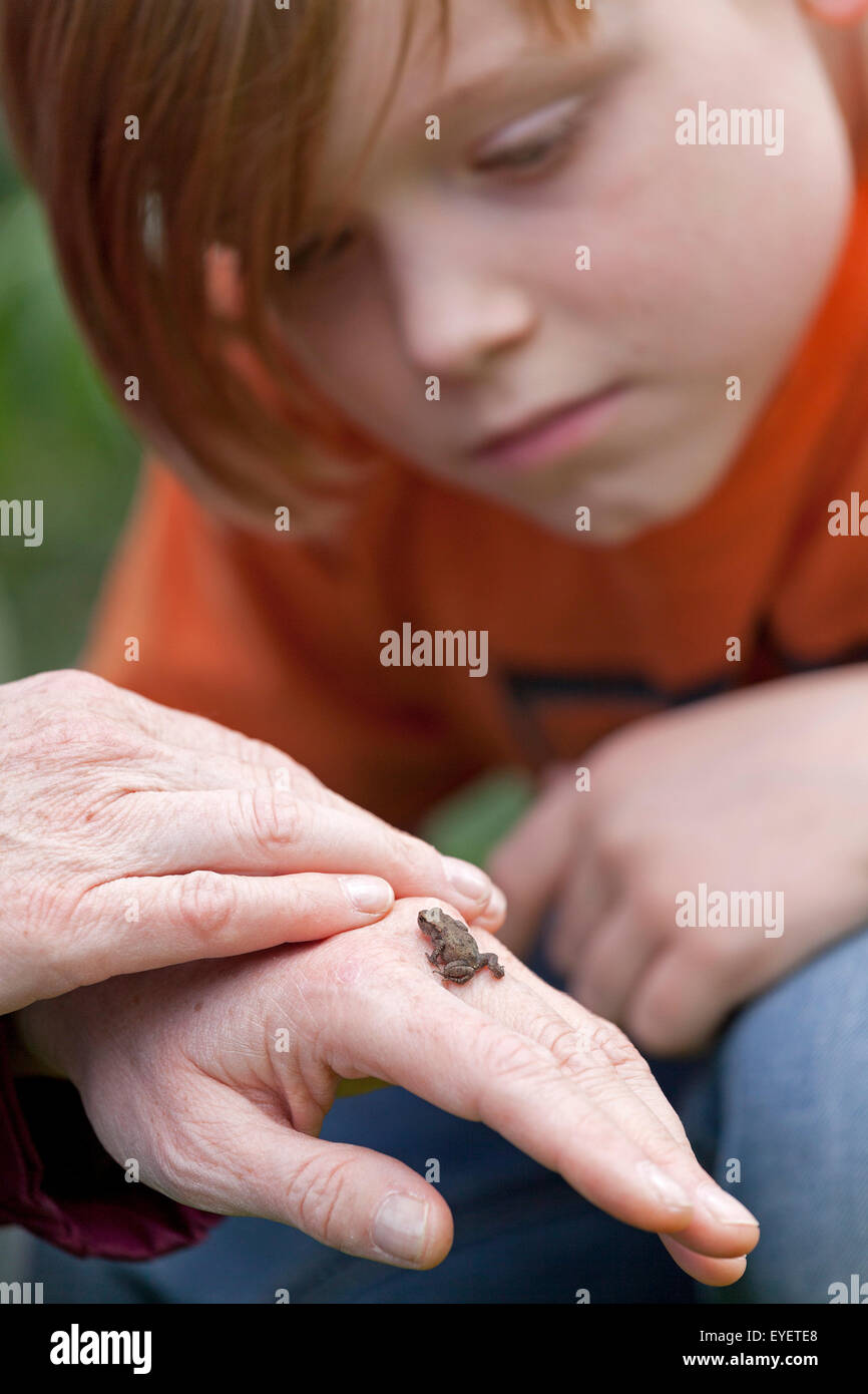 young boy looking at a small toad in a woman´s hand Stock Photo - Alamy