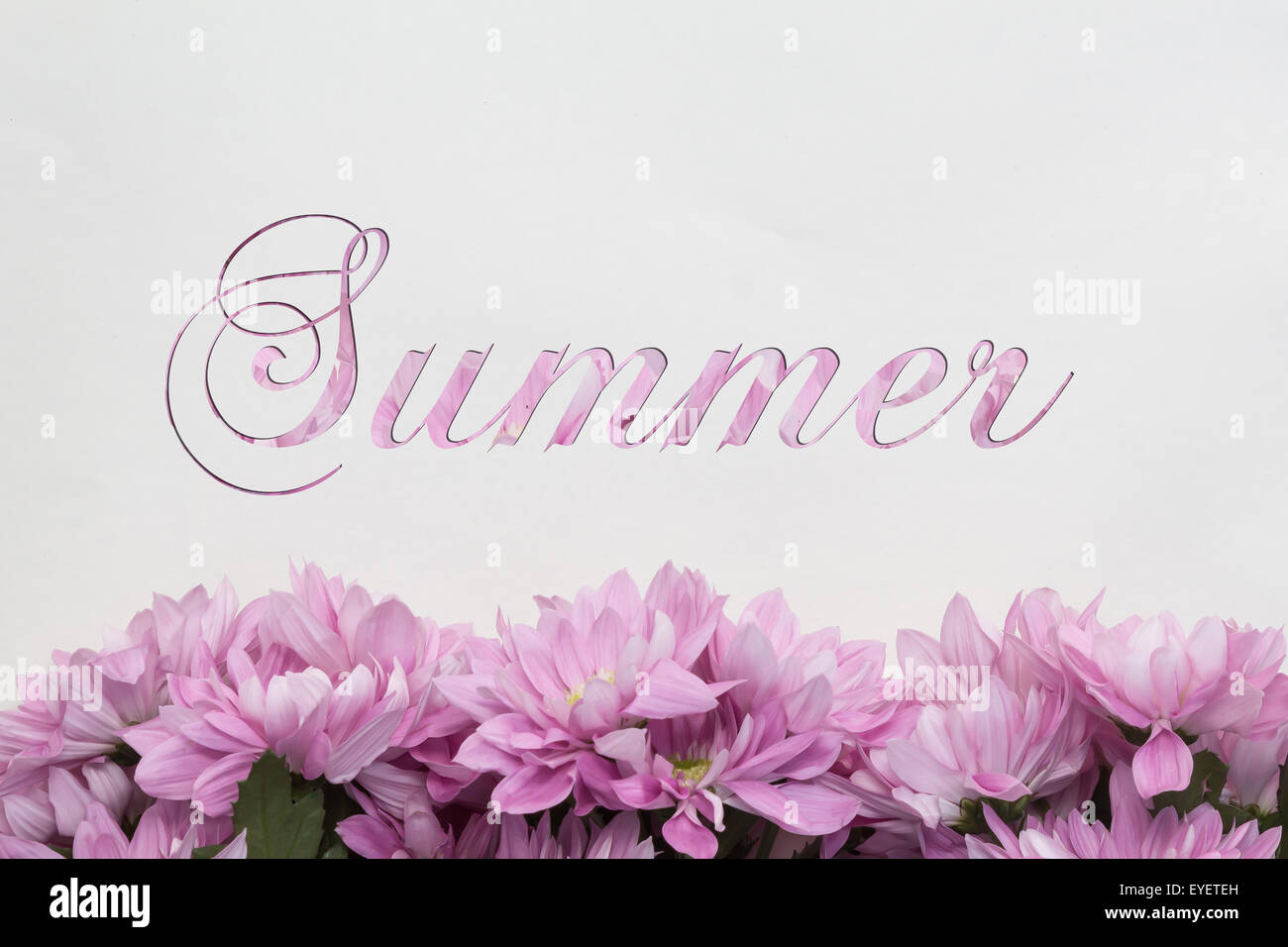 Summer flowers - handwritten text and flower decoration Stock Photo - Alamy