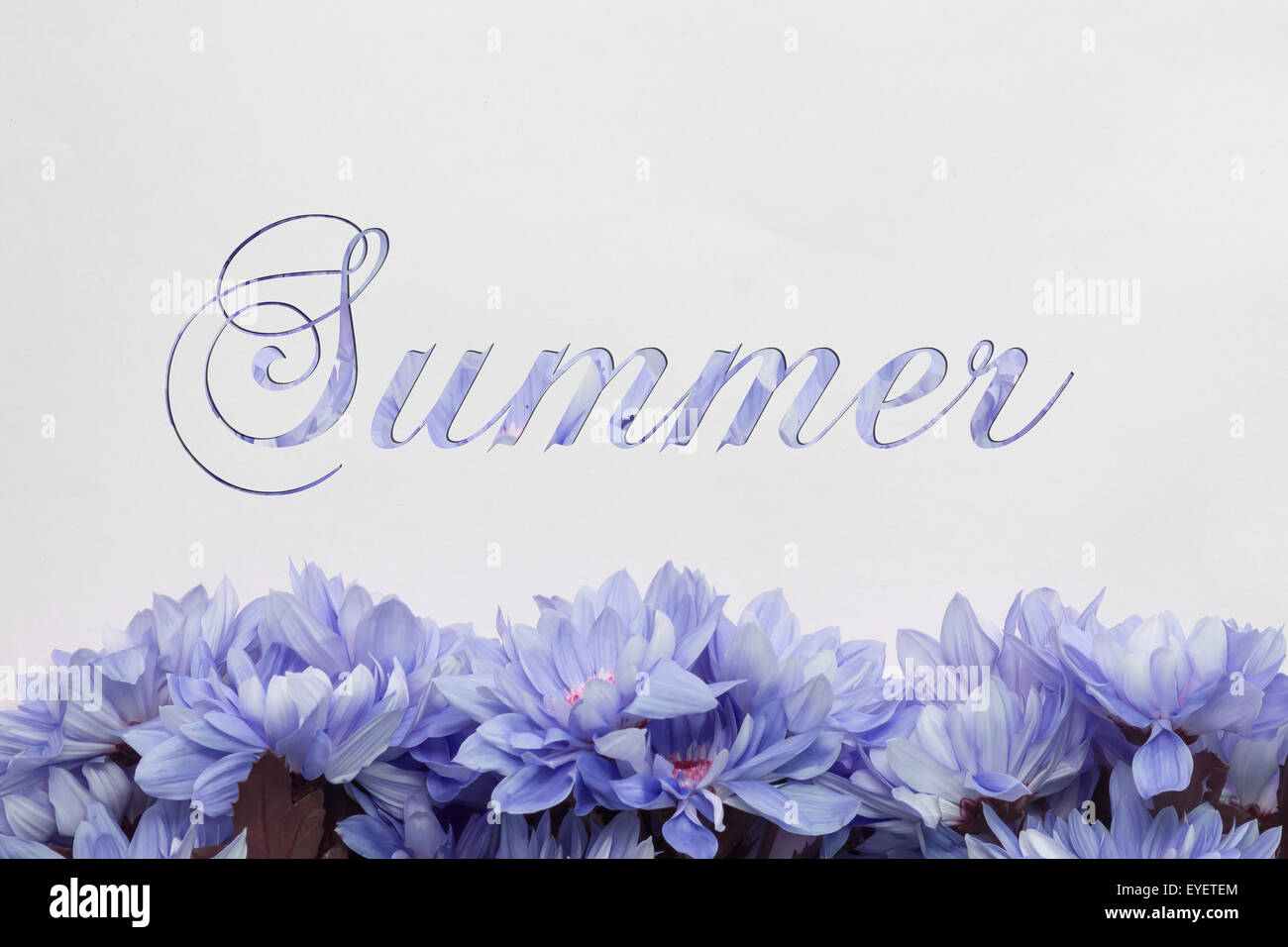 Summer flowers - handwritten text and flower decoration Stock Photo - Alamy