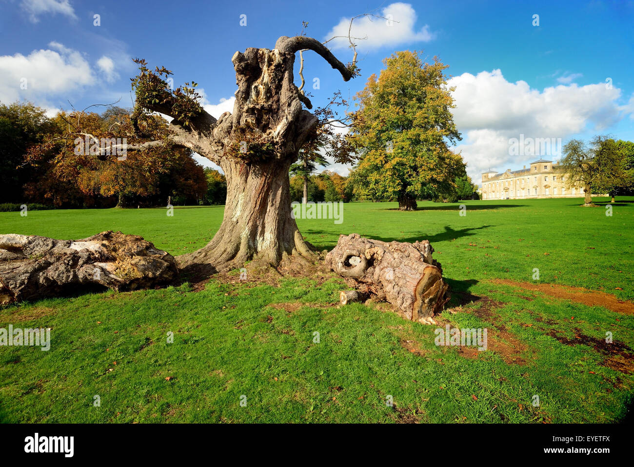 Lydiard High Resolution Stock Photography and Images - Alamy