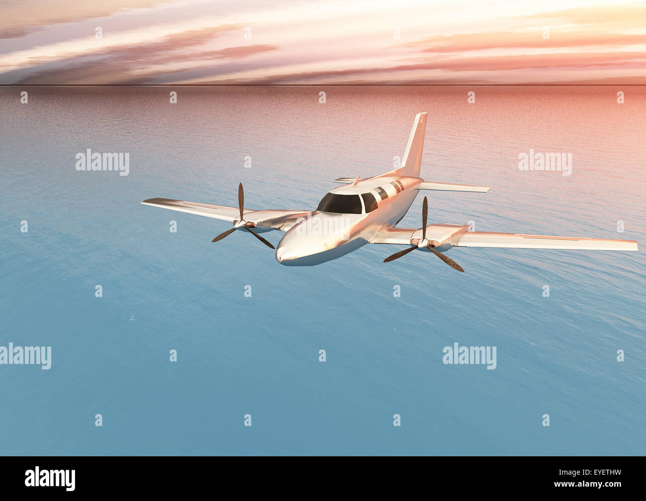 Flight, destination vacation, business trip, small twin-engine plane ...