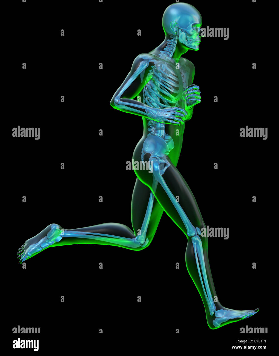 Side view of a running man seen on x-ray Stock Photo - Alamy