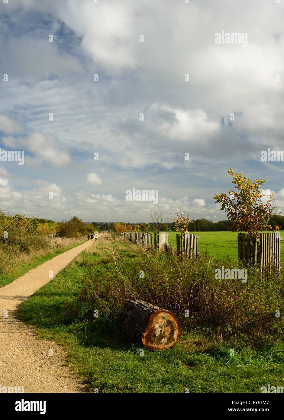 Lydiard High Resolution Stock Photography and Images - Alamy