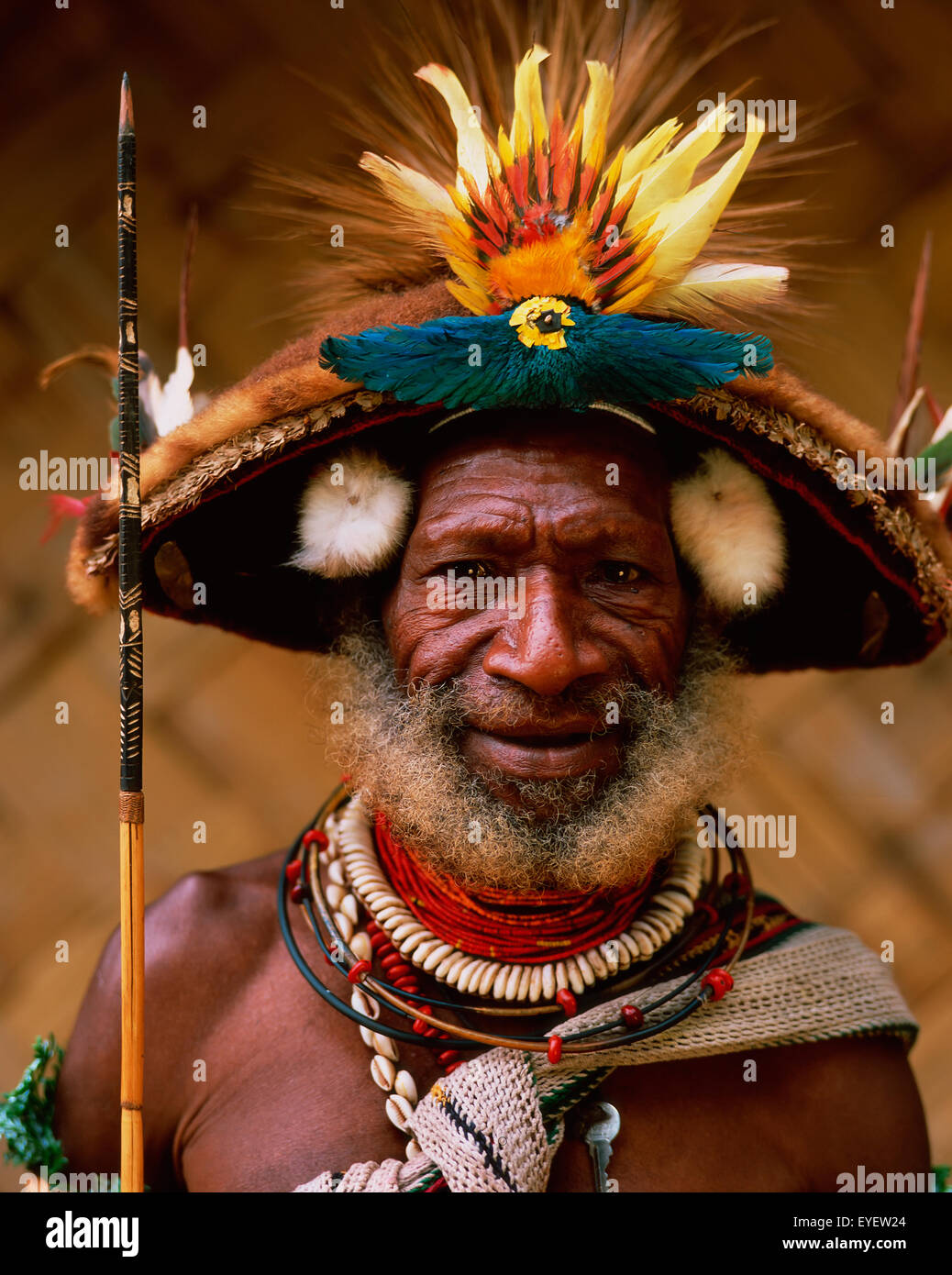 Huli, wigman from the Southern Highlands Province; Hela Province, Papua ...