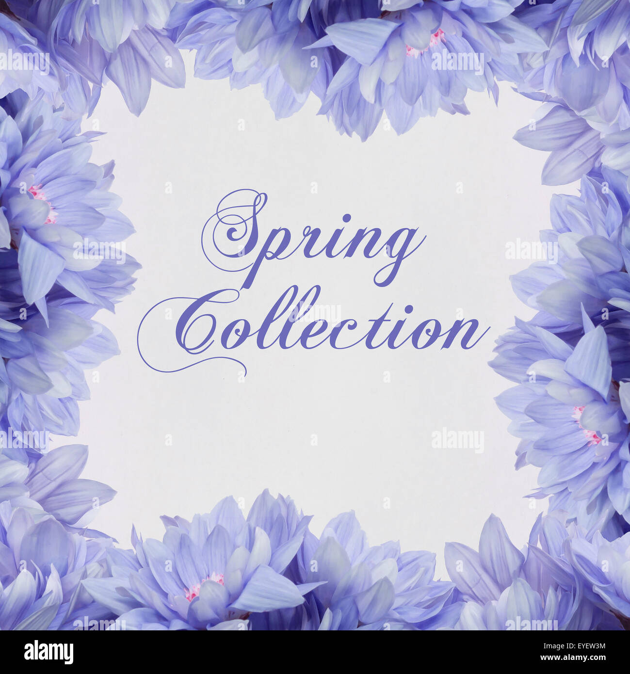 Collection flower hi-res stock photography and images - Alamy