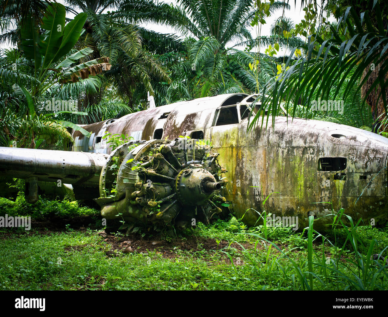 Ww11 Aircraft World War II Aircraft To Visit National Museum Of United