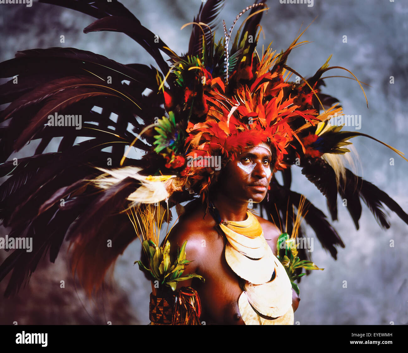 A chimbu woman in traditional headdress, Goroka Show; Goroka, Eastern ...