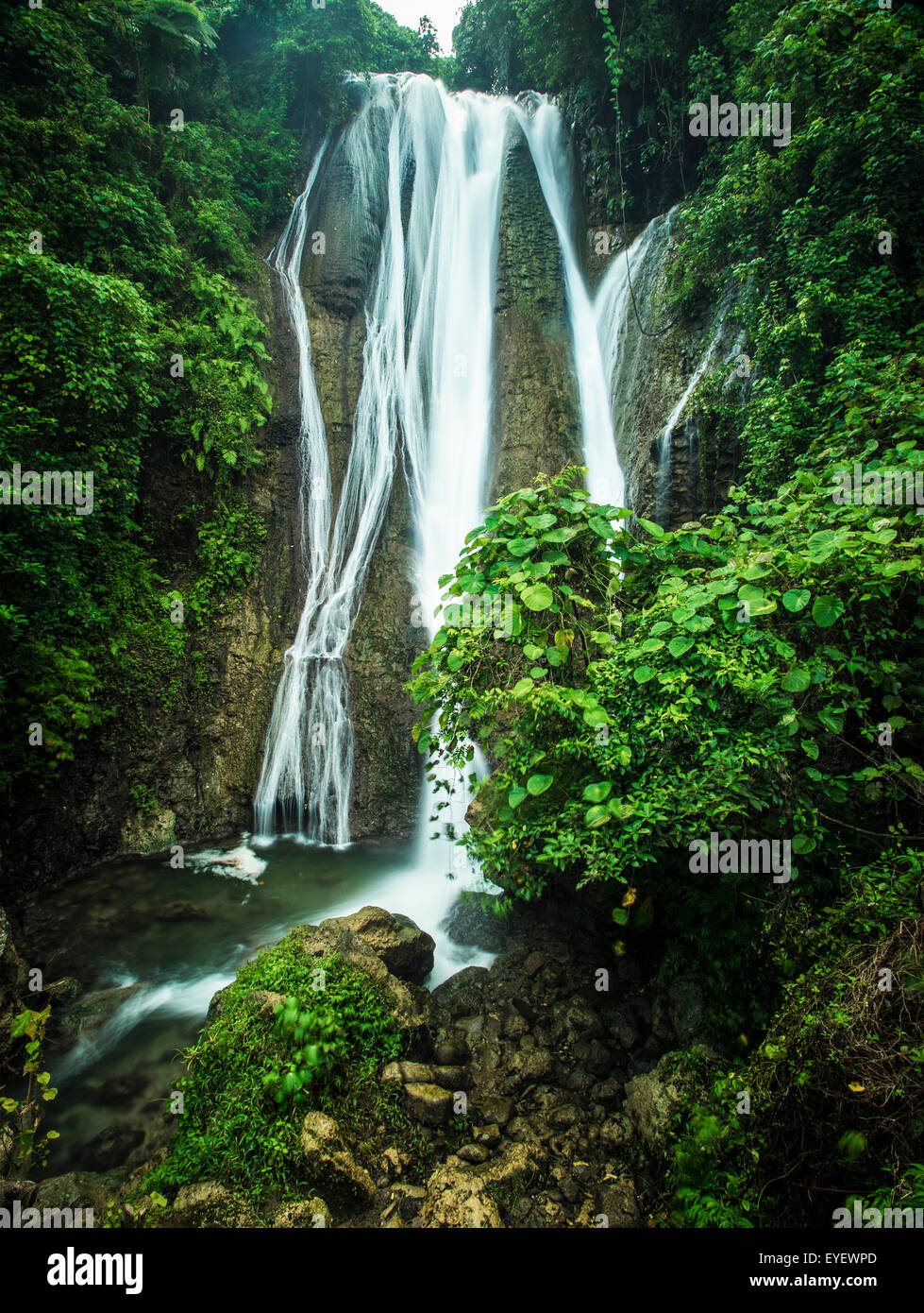 A waterfall and lush foliage; Tanna Island, Vanuatu Stock Photo - Alamy