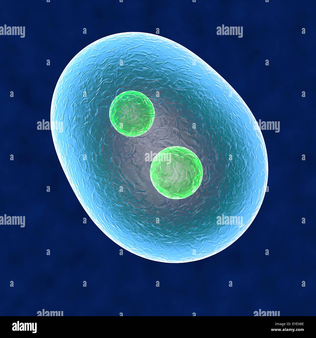 Duplication hi-res stock photography and images - Alamy