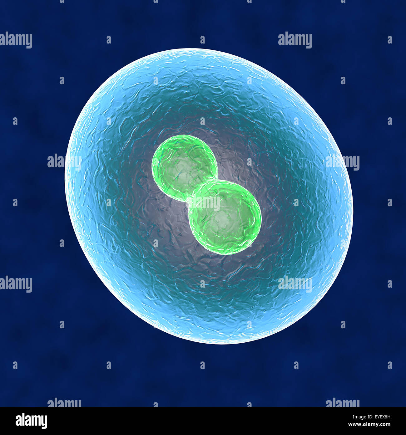 Duplication hi-res stock photography and images - Alamy