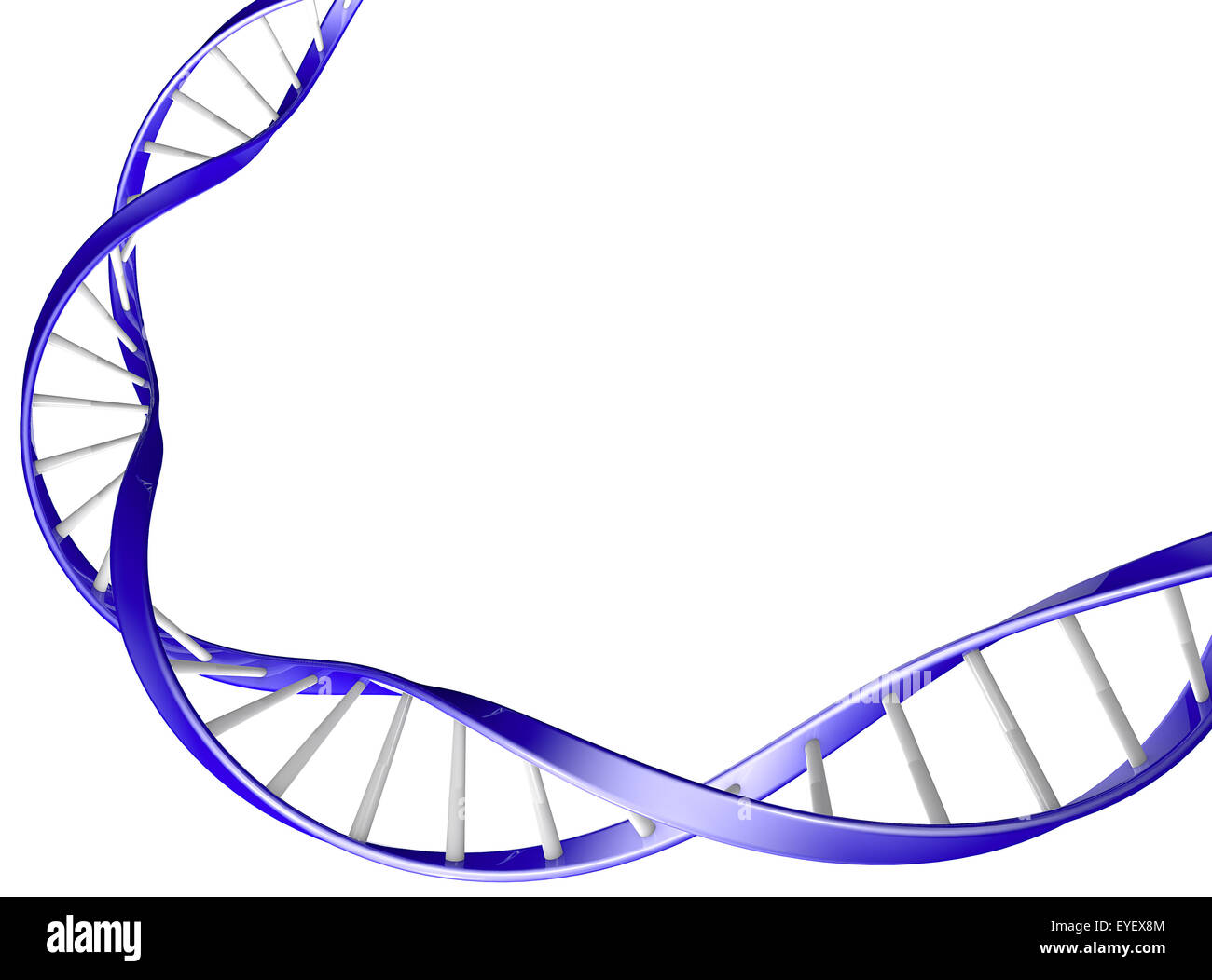 Stranded DNA molecules Stock Photo - Alamy