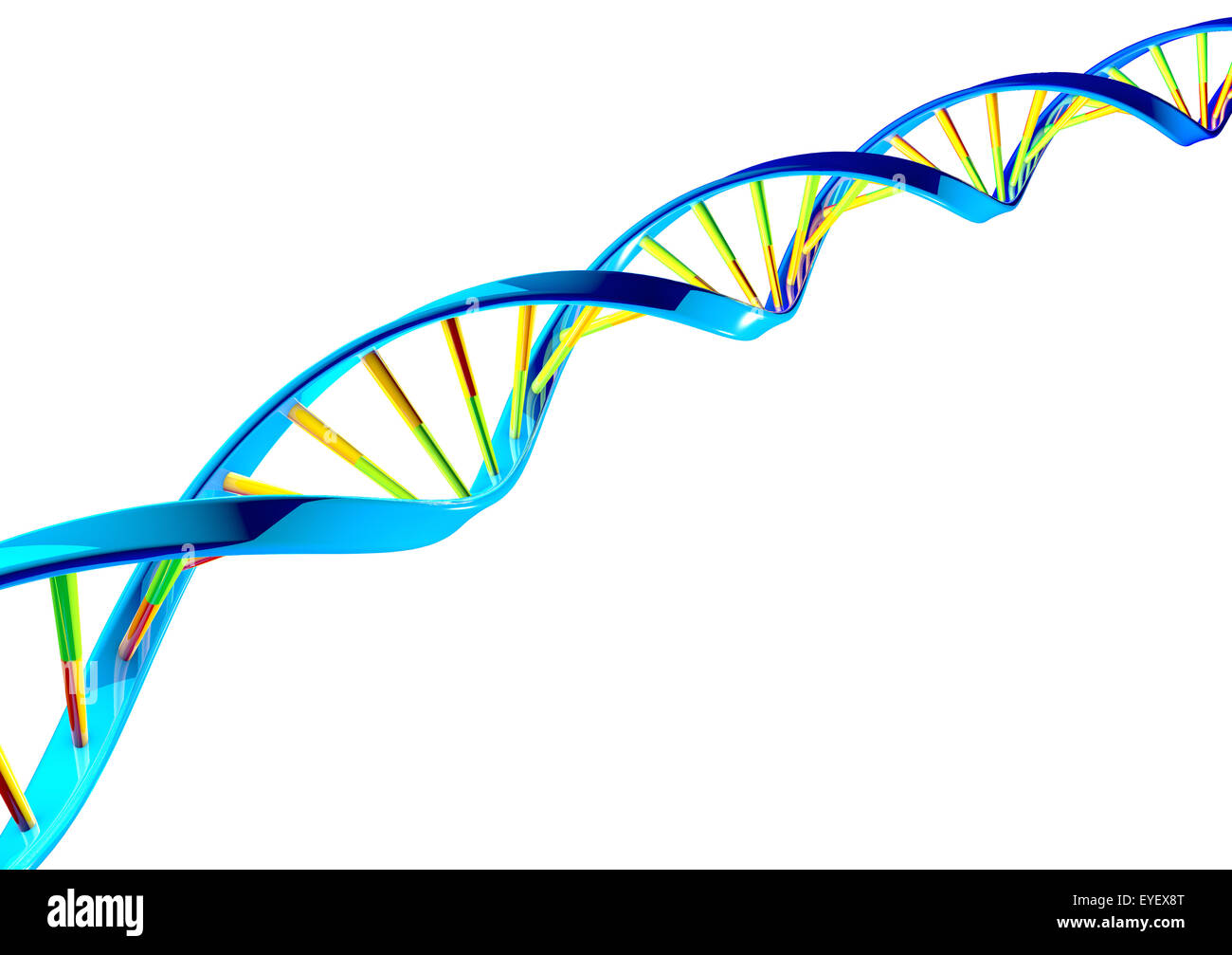 Stranded DNA molecules Stock Photo - Alamy