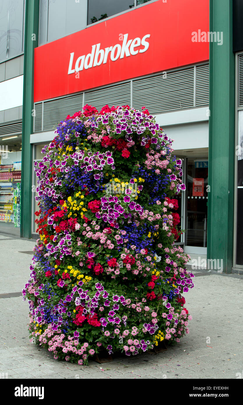 Floral planting in Birmingham city centre, UK Stock Photo - Alamy