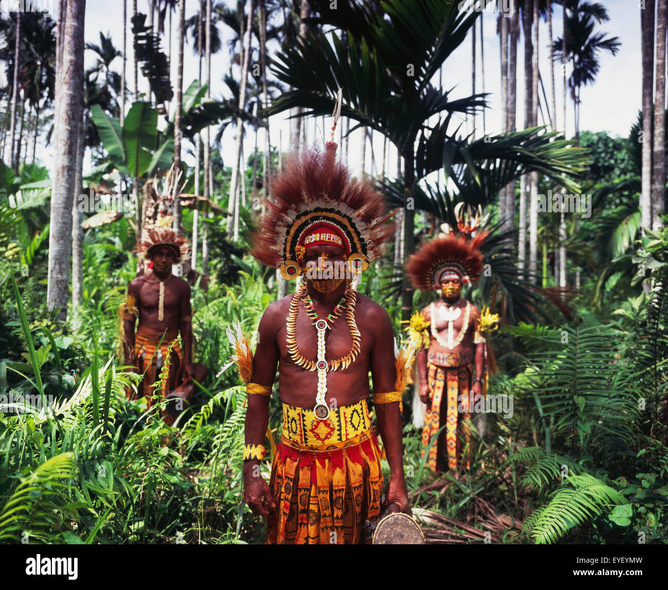 Mekeo tribesmen in traditional attire; Central Province, Papua New ...